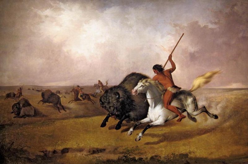 Plains Indian Buffalo Lance Head - Antique Weapon Store