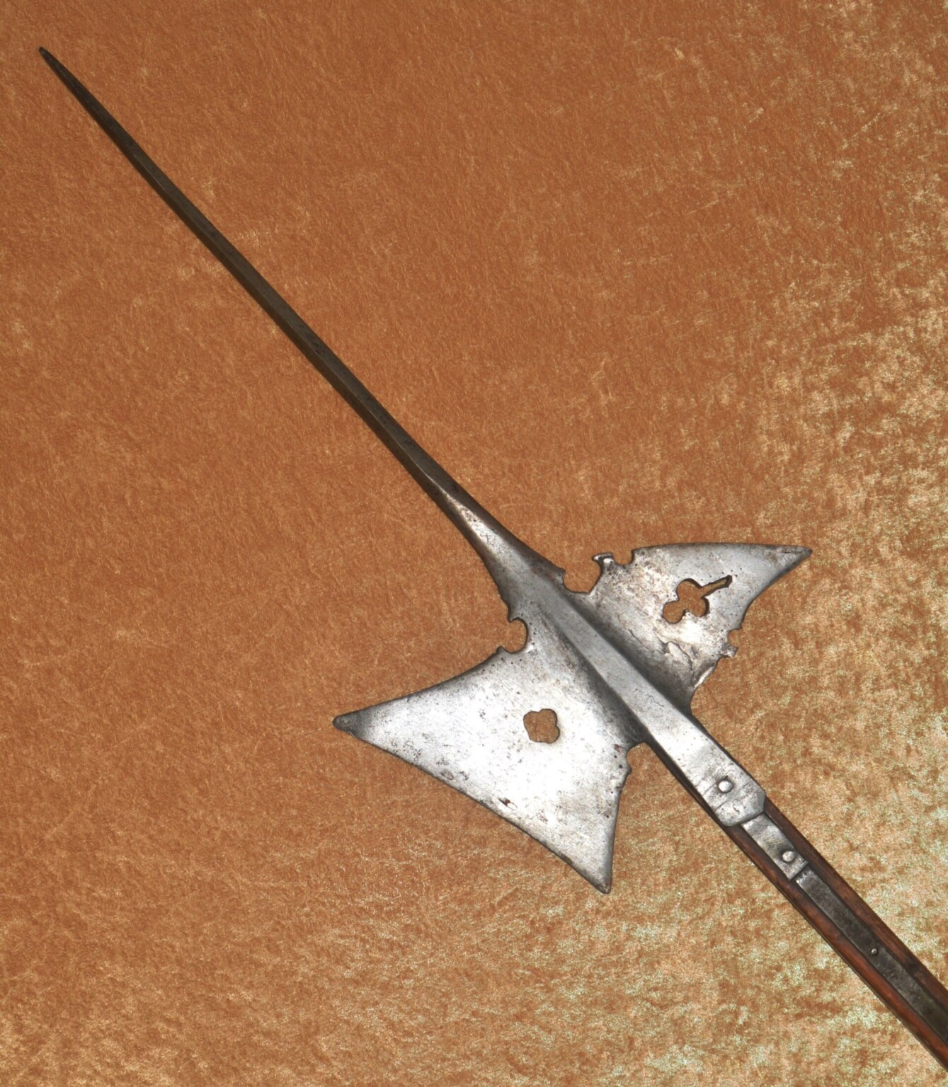 Antique Pole Arms & Historic Halberds for Sale | Antique Weapon Store