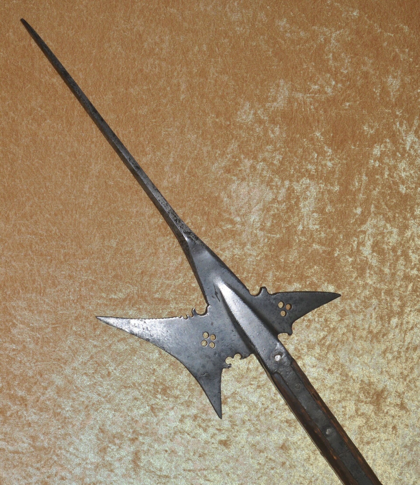 Antique Pole Arms & Historic Halberds for Sale | Antique Weapon Store